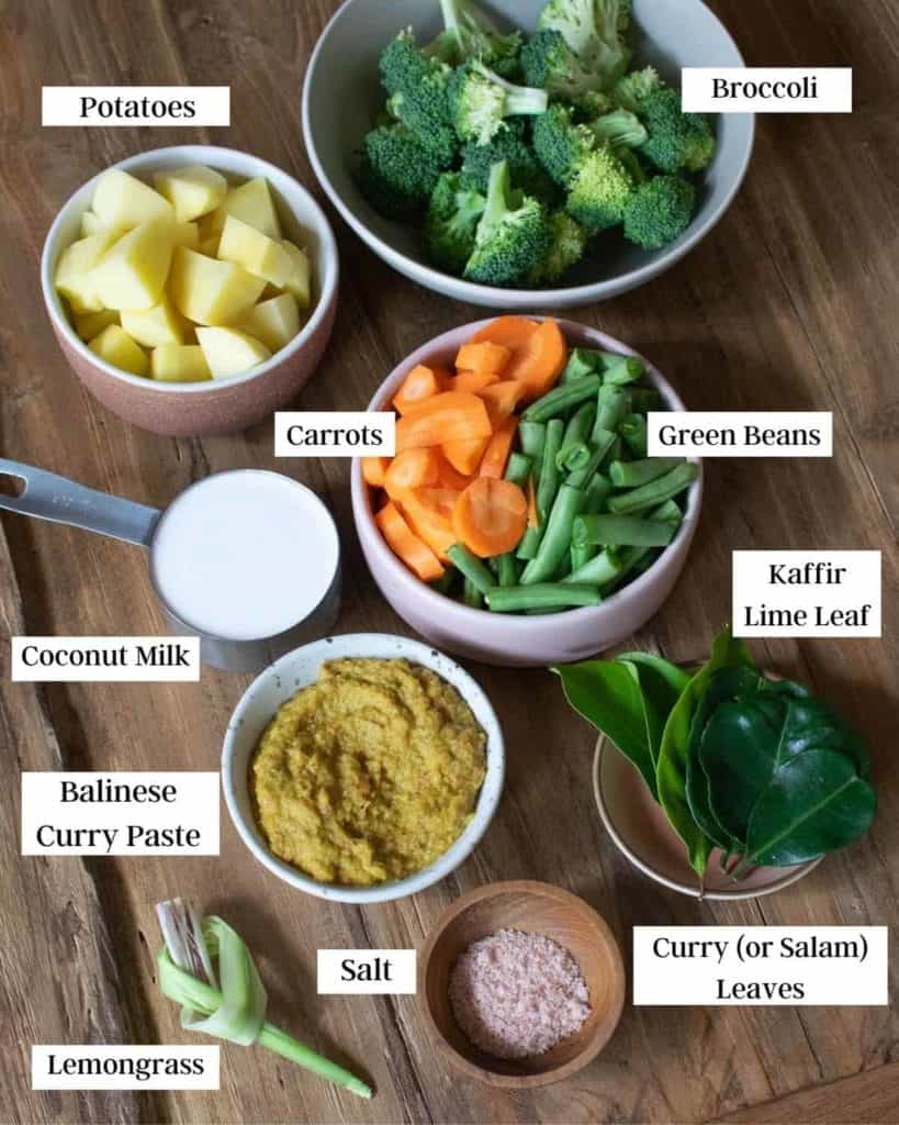 Sayur Kare (Balinese Vegetable Curry) in 25 Minutes - Vegan Punks