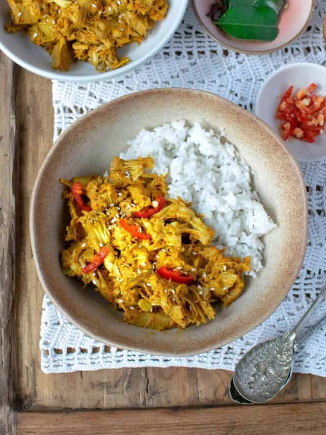 Vegan Rendang - Vegan Punks