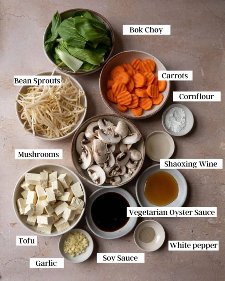 The Best Vegan Tofu Chop Suey - Vegan Punks