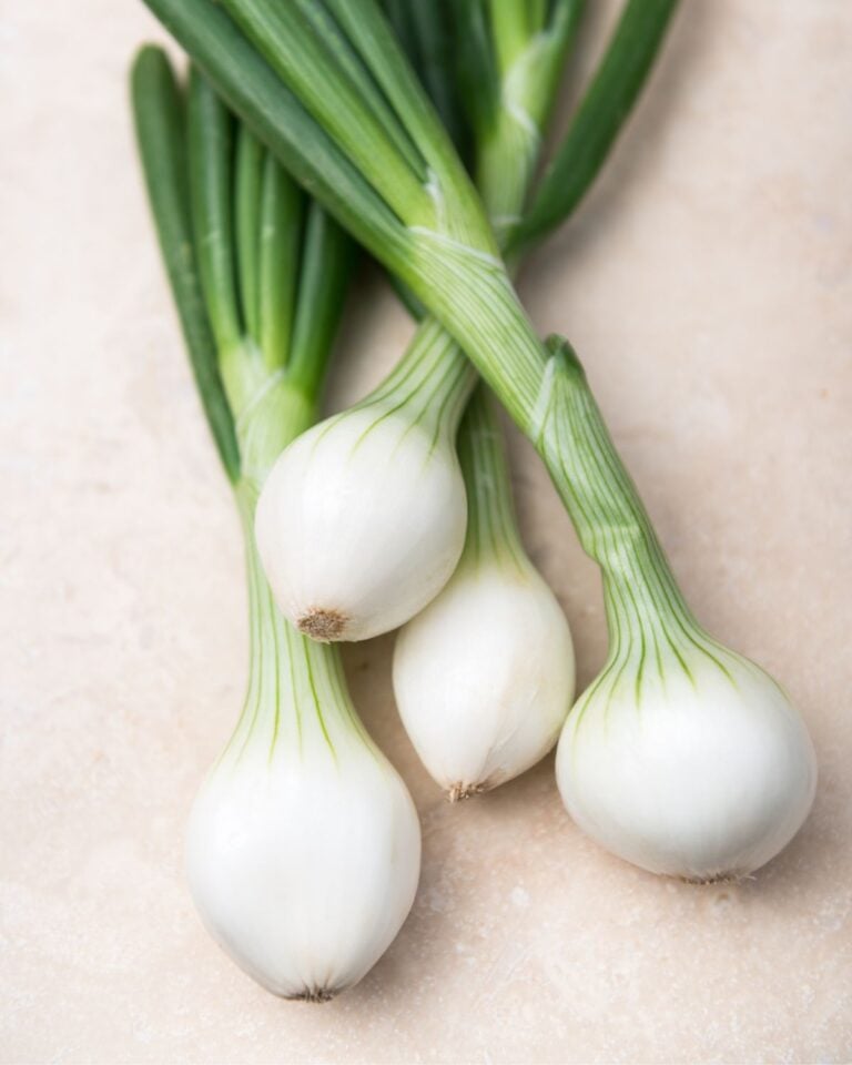 The 9 Best Spring Onion Substitutes for Any Occasion - Vegan Punks