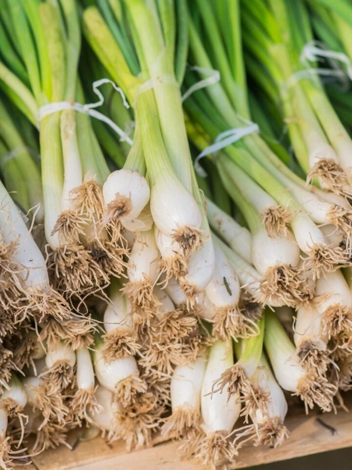 The 6 Best Potato Starch Substitutes - Vegan Punks